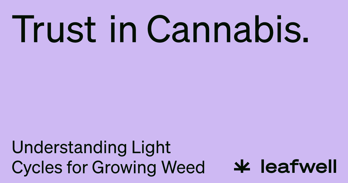 Understanding Light Cycles for Growing Weed